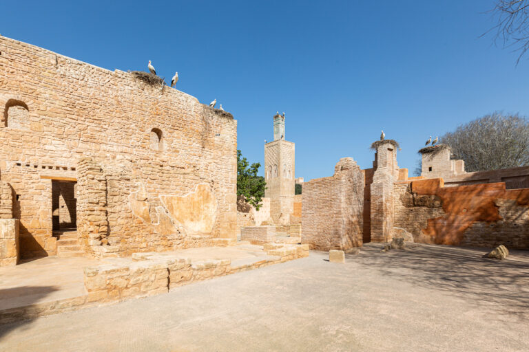 Visit Chellah – Site archéologique de Chellah